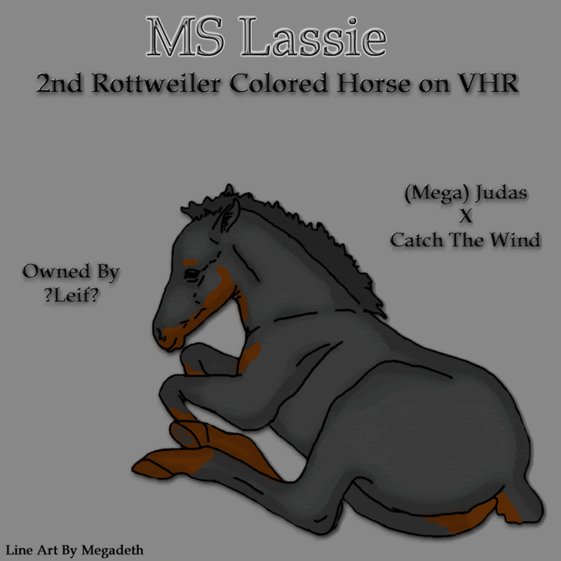 Ranch Services