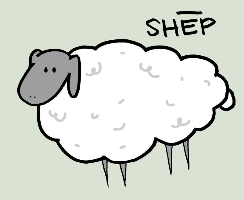 shep | Viciously Sweet