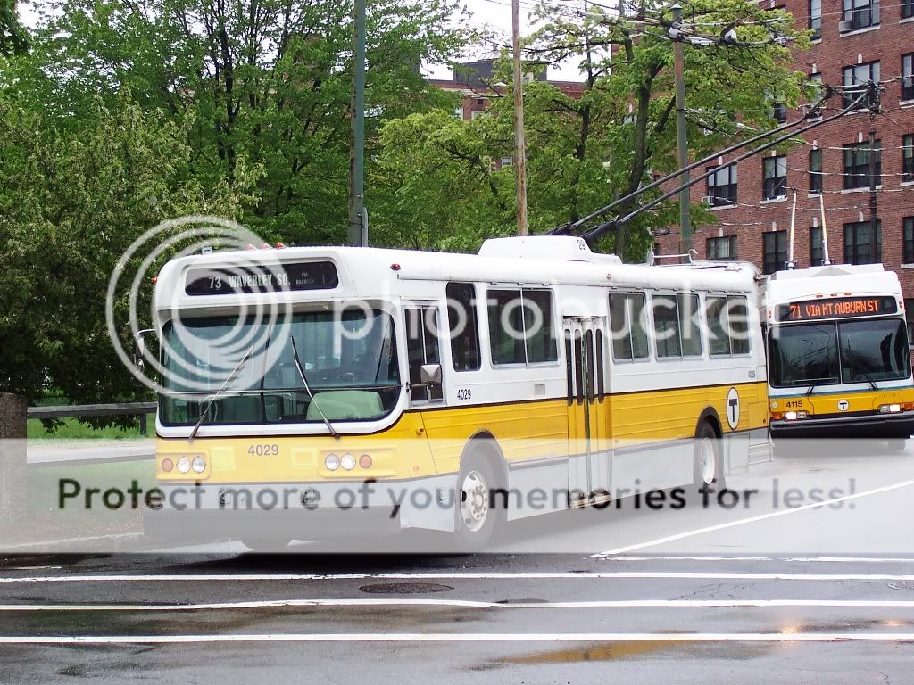Photos - Boston's Neoplan trackless trolleys - UNITED STATES OF AMERICA ...