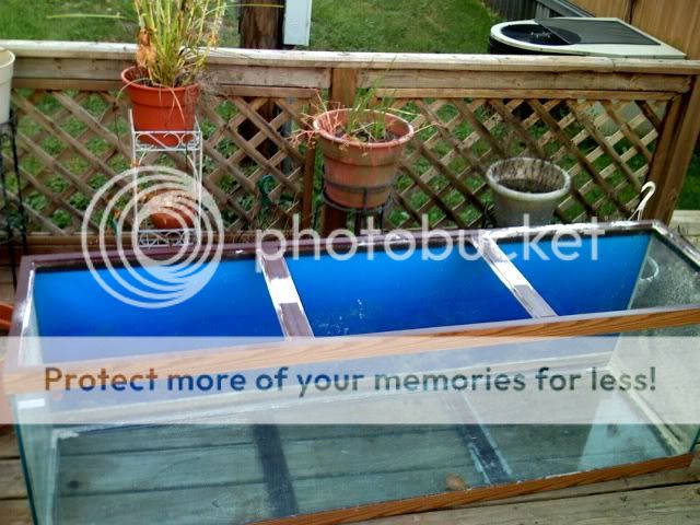 Clarity Plus Acryllic Aquarium-- got it free, needs cleaning - NASIOC