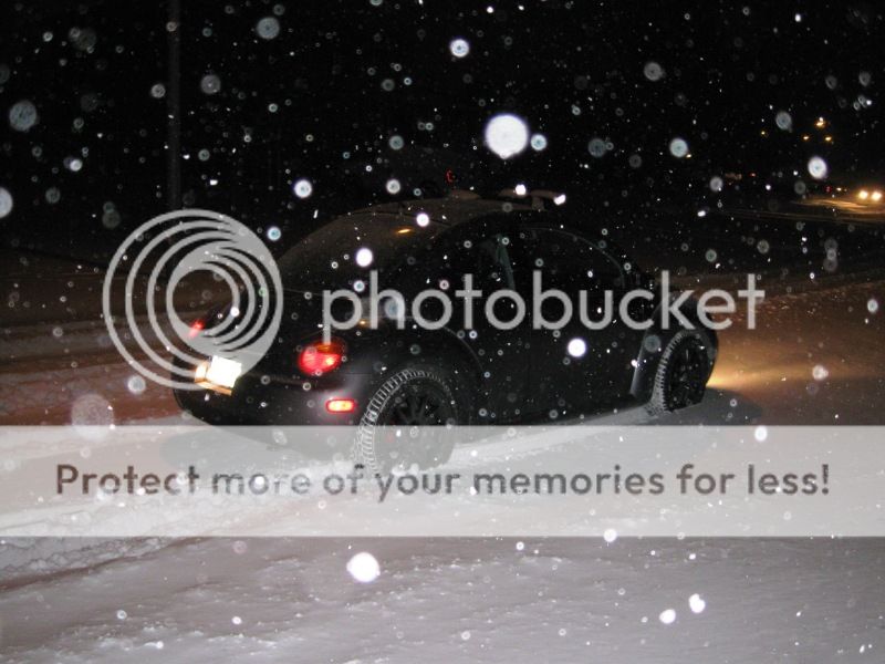 Snow Beetle | VW Vortex - Volkswagen Forum