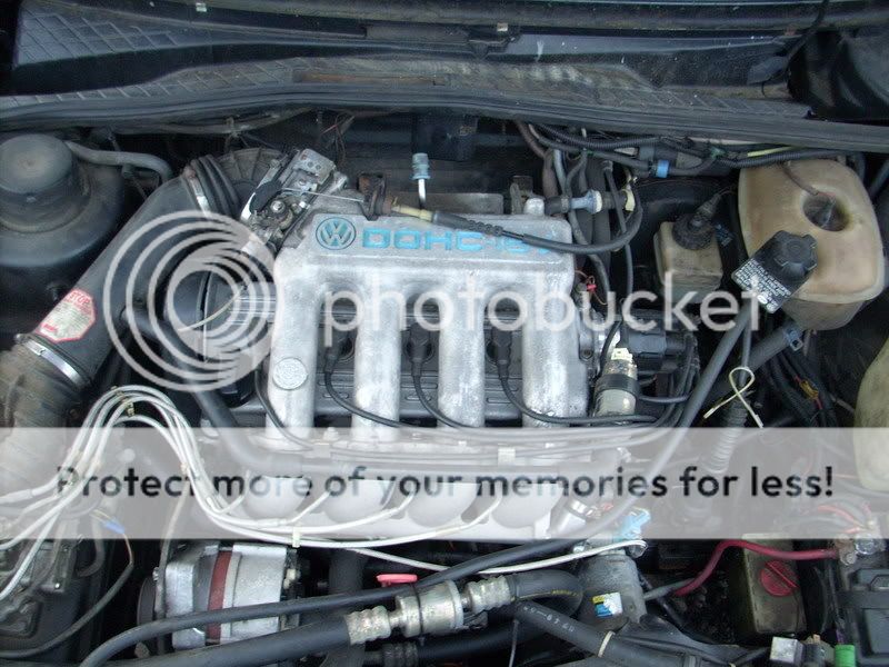 t'was a good day.. (pics too big maybe?) | VW Vortex - Volkswagen Forum