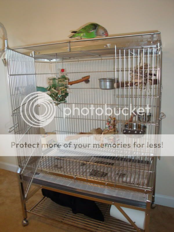 Custom Expandable Habitats Cage is Here!! | Avian Avenue Parrot Forum