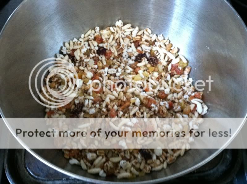 Homemade, Organic “Nutri-Berry”-Type Recipe | Coco's Flock