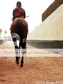 In his idea of a creative photo, Charlie Hamilton, coming out of the ...