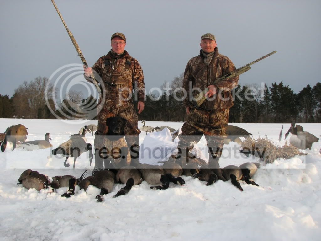 Duck Hunting Tips & Tactics | Duck Hunting Forum