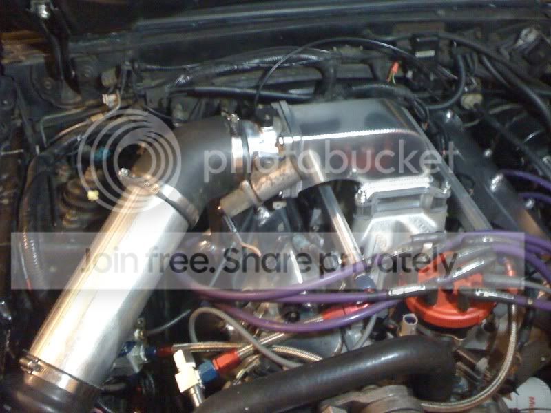 Anderson Power Pipe? | Ford Mustang Forums