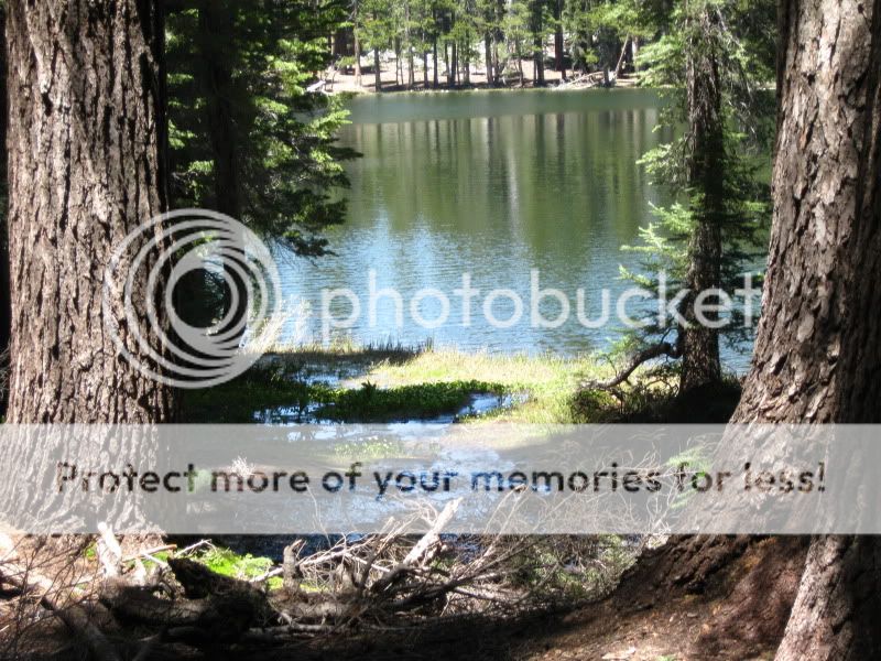 Where's Geezer Been? - Non-Moto - Motocross Forums / Message Boards ...