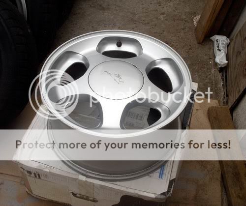 1994 cobra rims / 95 96 97 | Ford Mustang Forums