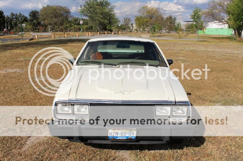 1981 VAM Rally GT - Revival - The AMC Forum - Page 1