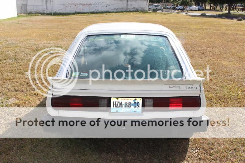 1981 VAM Rally GT - Revival - The AMC Forum - Page 1