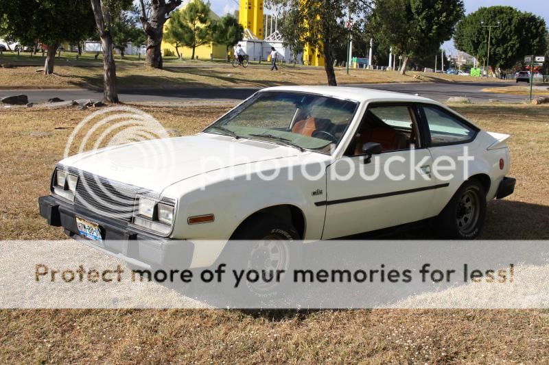 1981 VAM Rally GT - Revival - The AMC Forum - Page 1