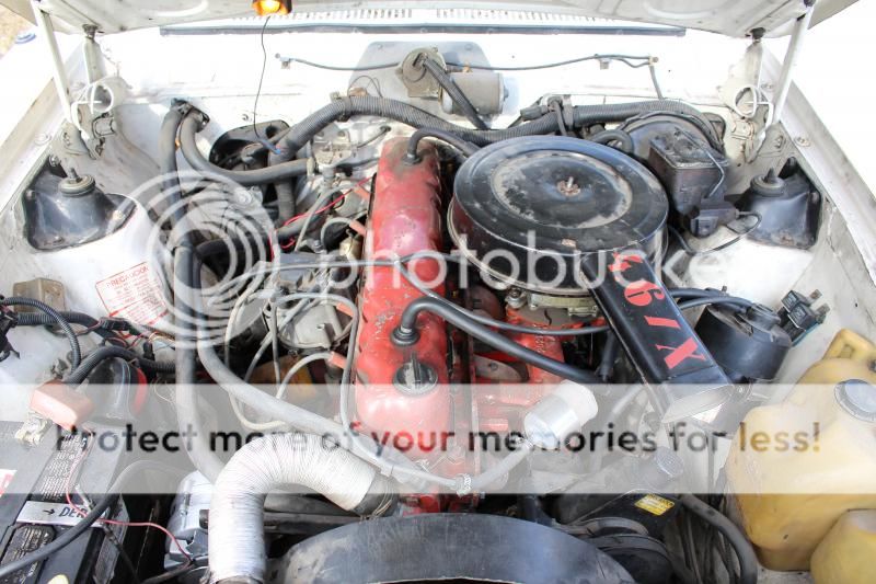 1981 VAM Rally GT - Revival - The AMC Forum - Page 1