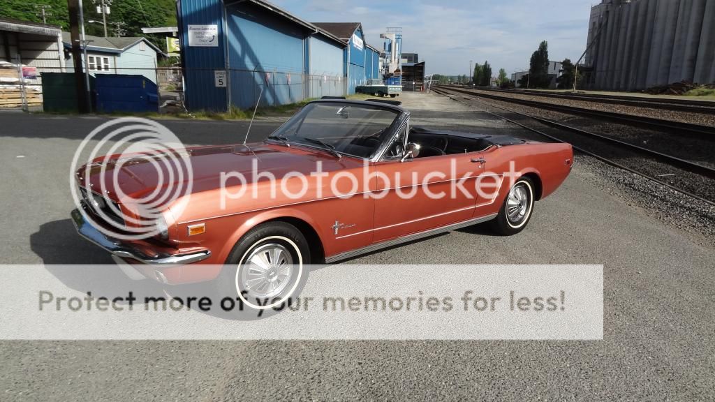 Pics of my new 66 convertible | Vintage Mustang Forums
