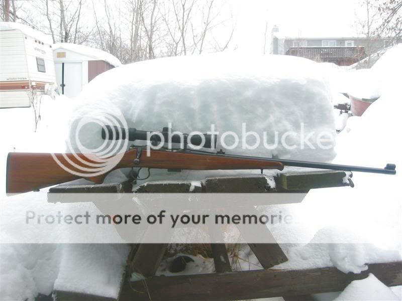 BRNO Mod 5 original sights | Canadian Gun Nutz