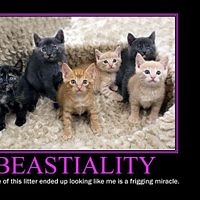 Beastiality Videos | Photobucket