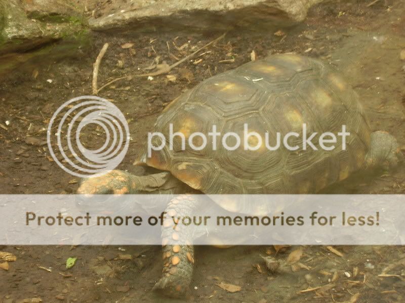 Hey guys...Dallas Aquarium Pictures!! - Democratic Underground