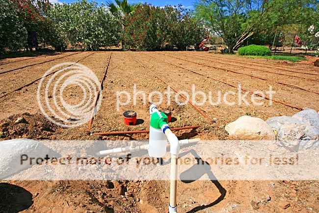 In line fertilizer device? Like dial and spray?