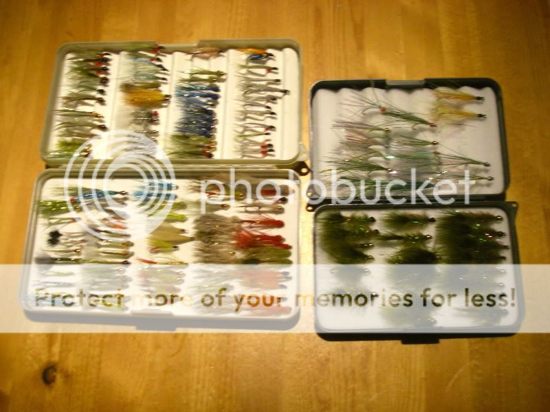 Top 5 coho patterns | BC Fly Fishing Forums