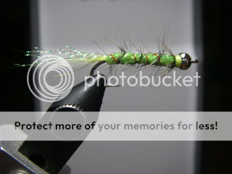 Small flies for Coho | Washington Fly Fishing Forum