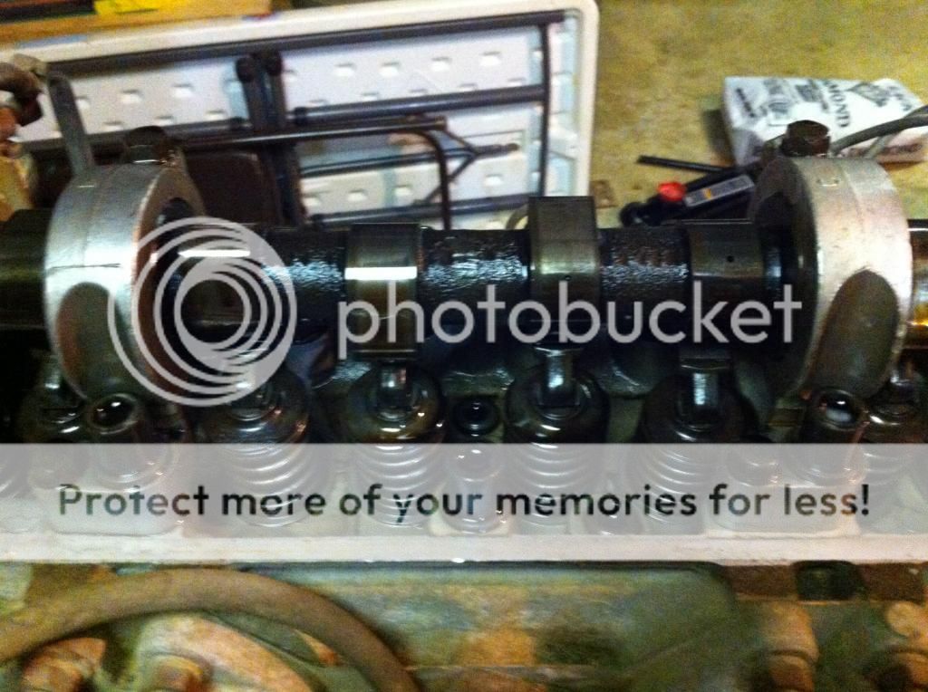 Zombie 510 Experiment - The 510 Realm