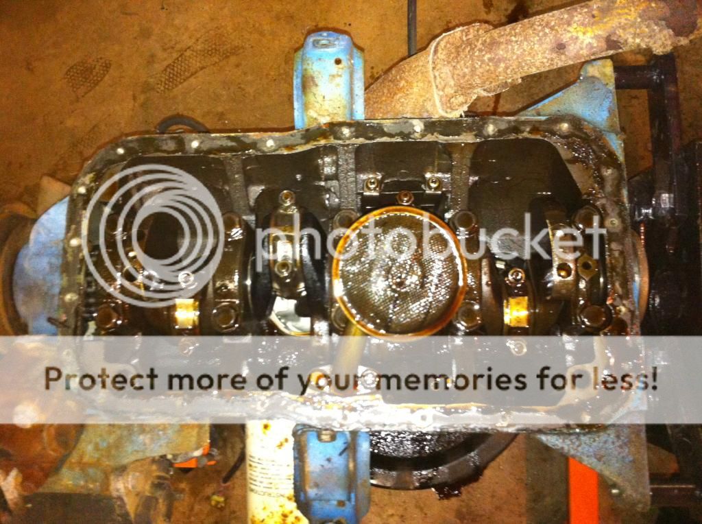 Zombie 510 Experiment - The 510 Realm