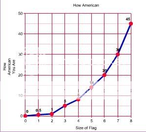 The recent trend of big American flags on small poles... - NASIOC