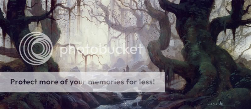 your first forrest | Bonsai Nut