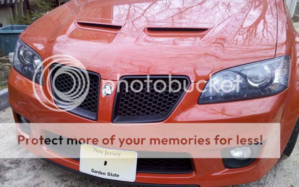 Holden emblems | Pontiac G8 Forum