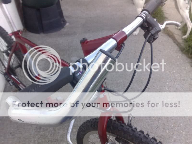 1993 Ridgeback 601 GS | Retrobike