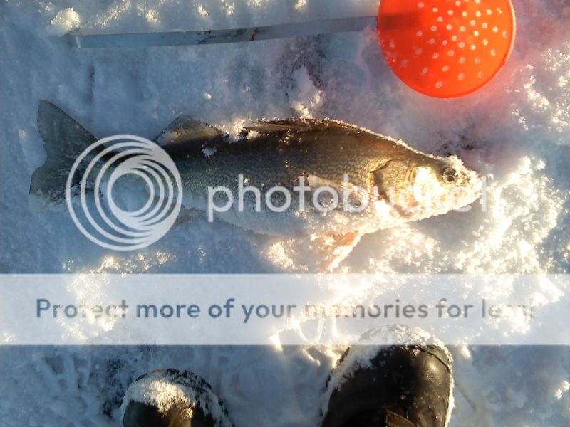 Macs when you live on the lake are easy.1/16 | Colorado Fisherman Forum