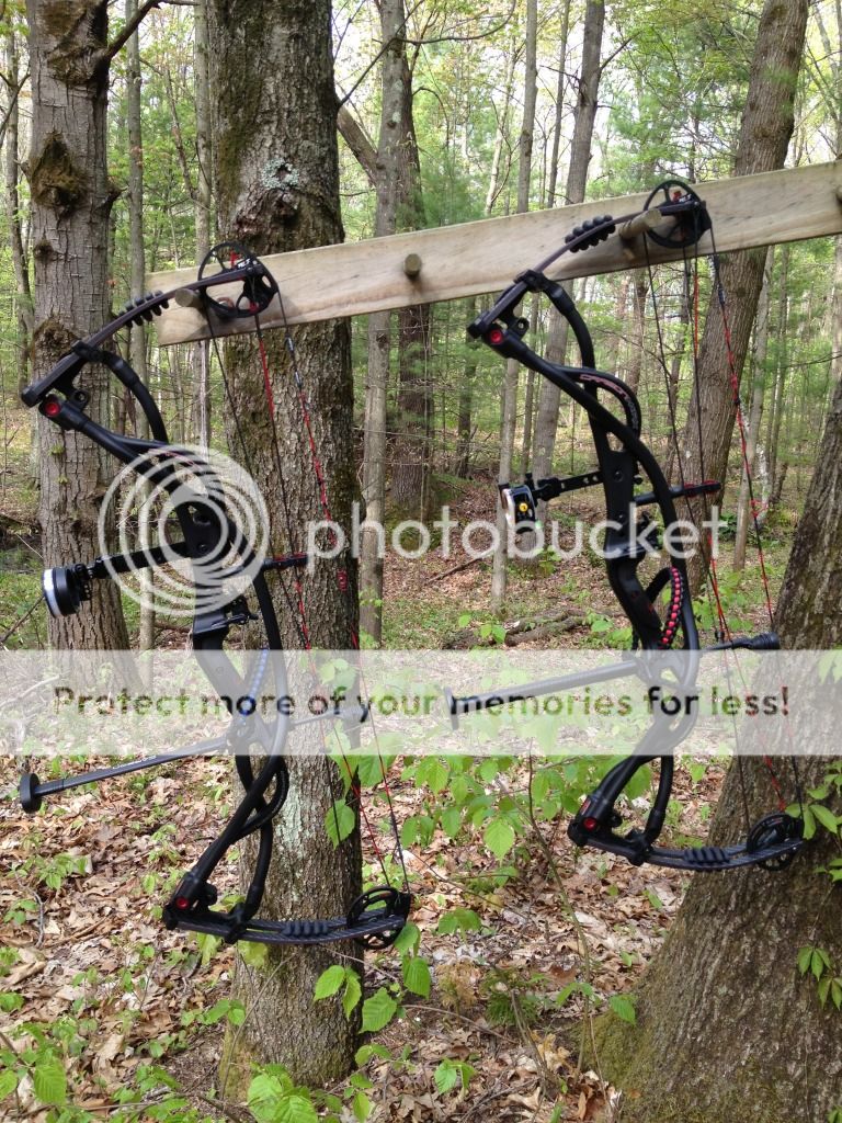 Let's see your Carbon Matrix bows | Archery Talk Forum