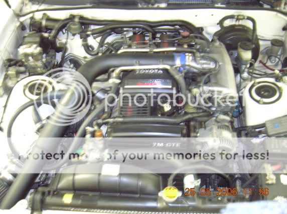 *Ultimate 7mgte Engine Bay Pic Thread* | Page 11 | Supra Forums