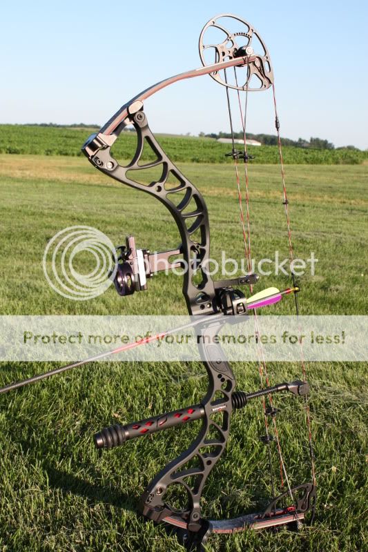 2nd Bow in the Stable (pics) | Archery Talk Forum