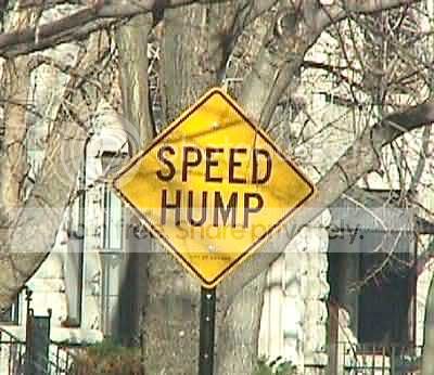 Happy Hump Day 20 Photos Pirate S Cove Pirate S Cove