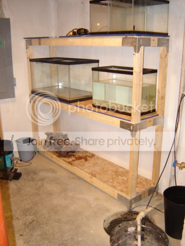 Small Fish Room Ideas and Filtration Help. | Cichlid Fish Forum