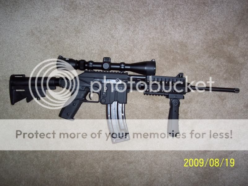 New .22 Plinker | Taurus Firearm Forum