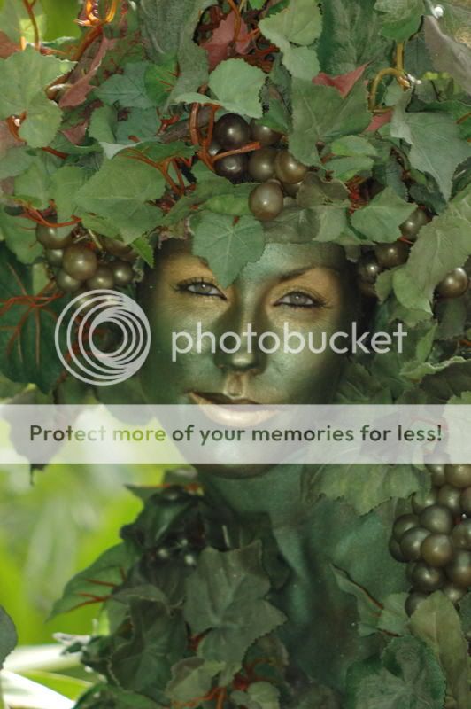 Tree Lady in Animal Kingdom | The DIS Disney Discussion Forums ...