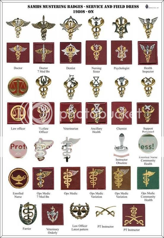 SAMHS_zpscybmdhdu.jpg (553×800) | Military medals, Support officers, Badge
