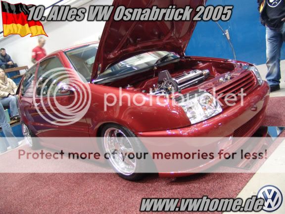 who remembers the snake skin car? | VW Vortex - Volkswagen Forum