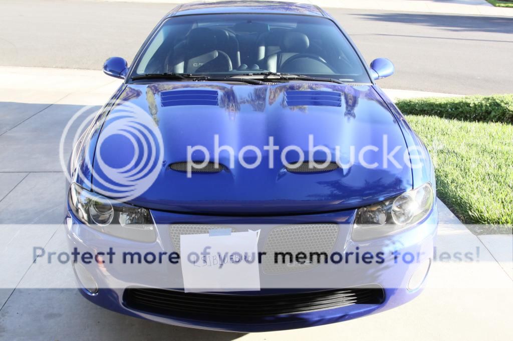 FORSALE 6SPD GTO IMP BLUE 49,XXX Original Miles- Excellent condition ...