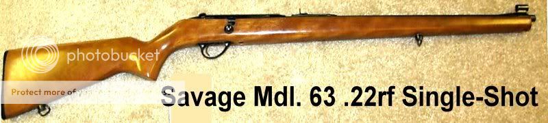 Let's see your "Rimfire Rifles" pictures | Page 13 | Rimfire Central ...