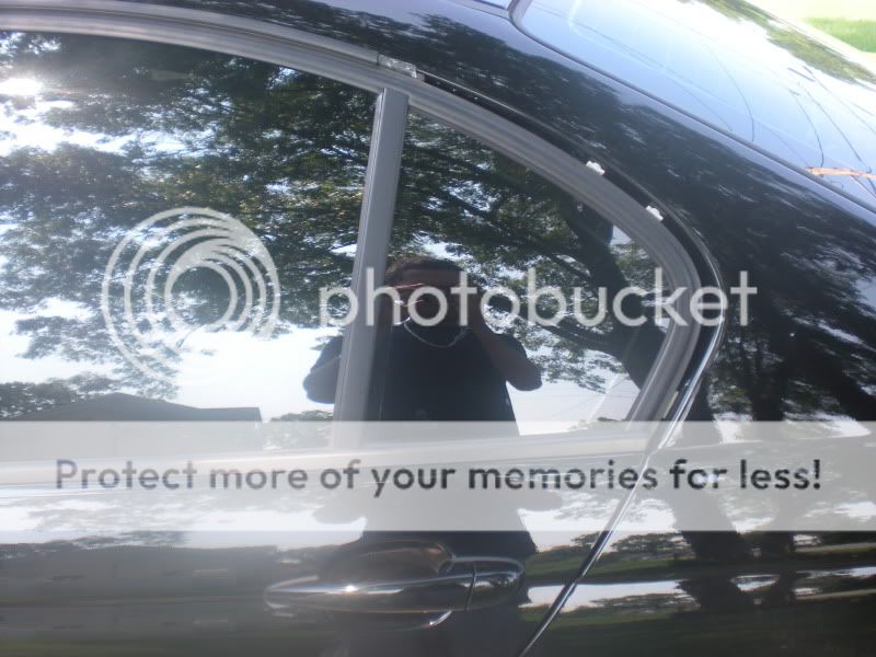 molding fell off | BimmerFest BMW Forum