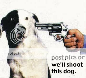 LMT FSB question (now with pics) > AR Discussions > AR15.COM