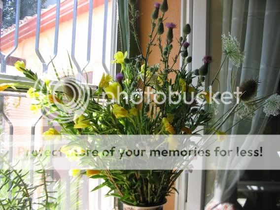 Un bellissimo mazzo di fiori selvatici...