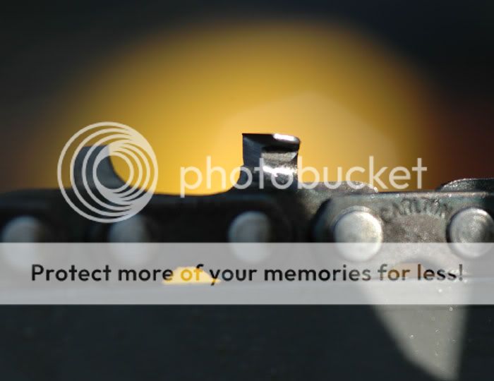 Chain teeth | Arborist, Chainsaw & Tree Work Forum