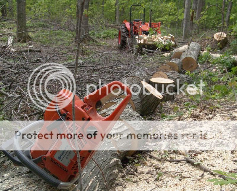 The Husqvarna 372XP | Arboristsite.com