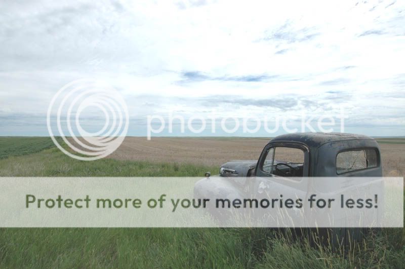 The Husqvarna 372XP | Arborist, Chainsaw & Tree Work Forum