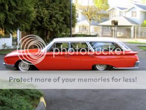 Bellflower tips...( be Honest ) | The H.A.M.B.