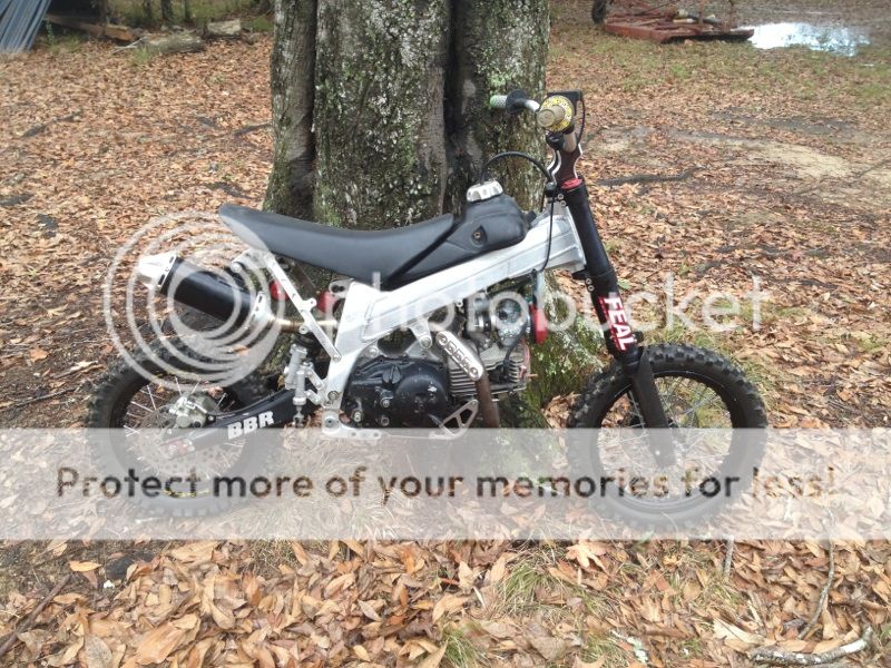 BBR V2 Perimeter Roller | PlanetMinis Forums